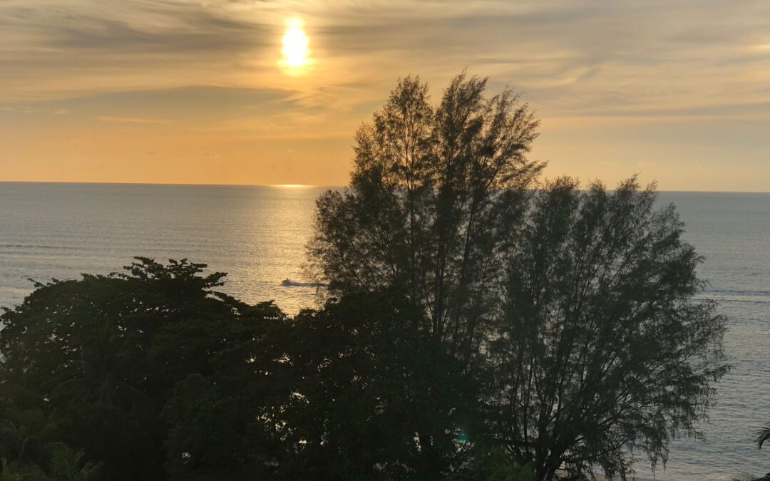 Penang ocean | WingDing®